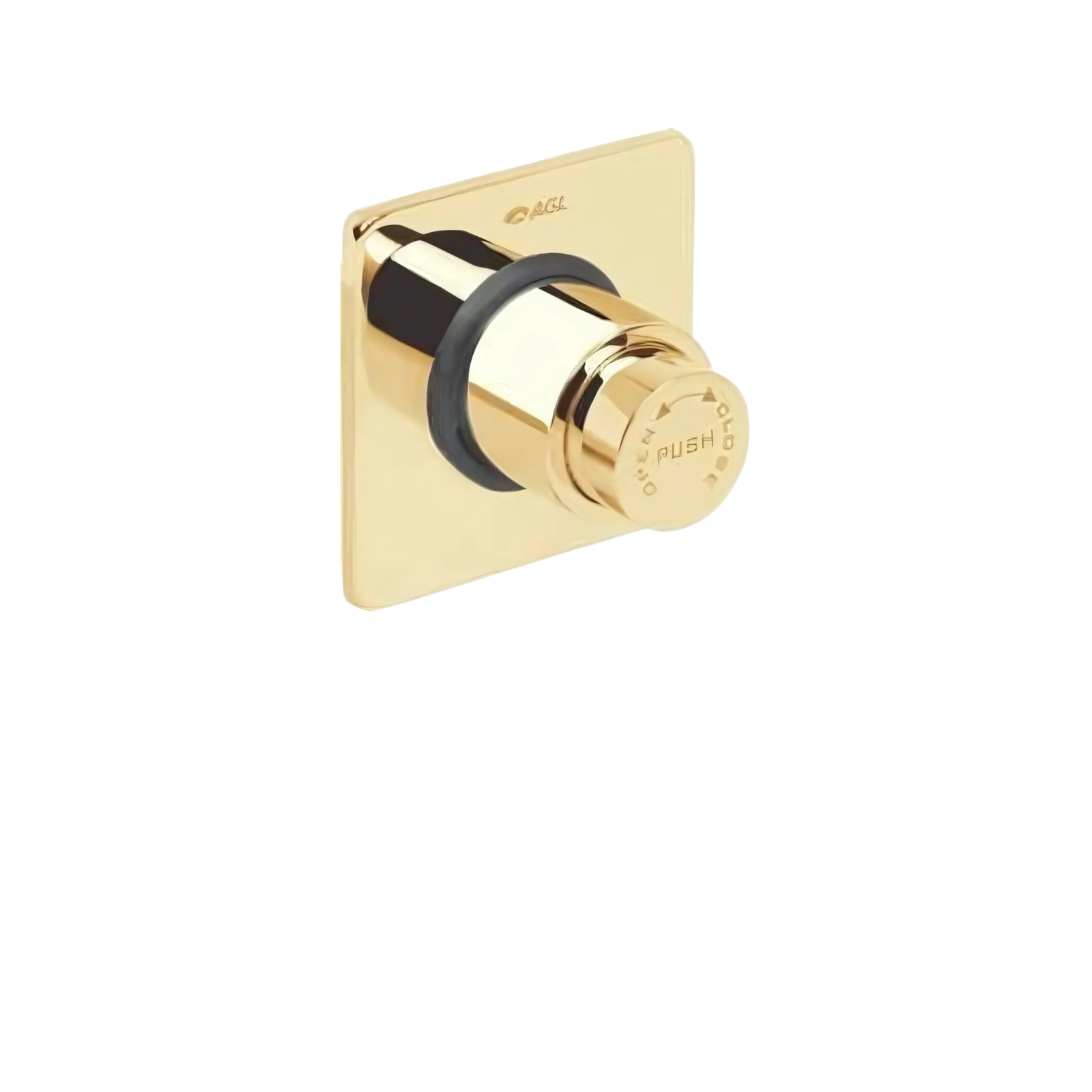 Flush Valve (Brushed Gold) – KBTC Buildings